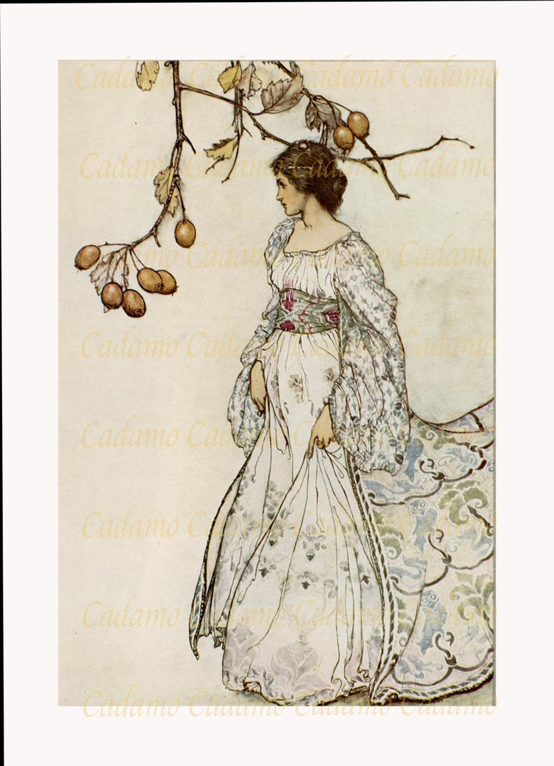 Peter Pan Arthur Rackham Illustration - Etsy