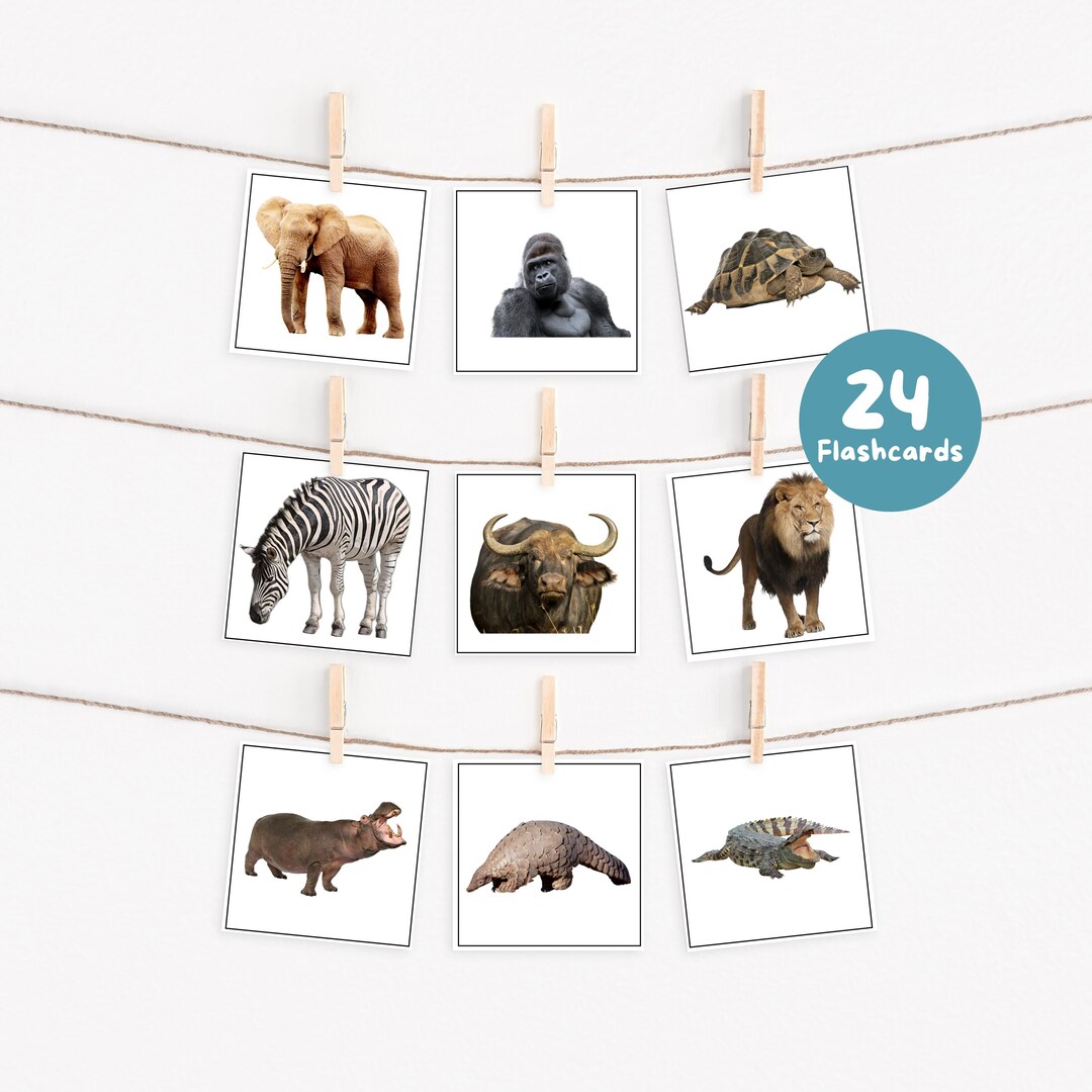 24 Printable Savanna and African Animals Flashcards | Montessori ...