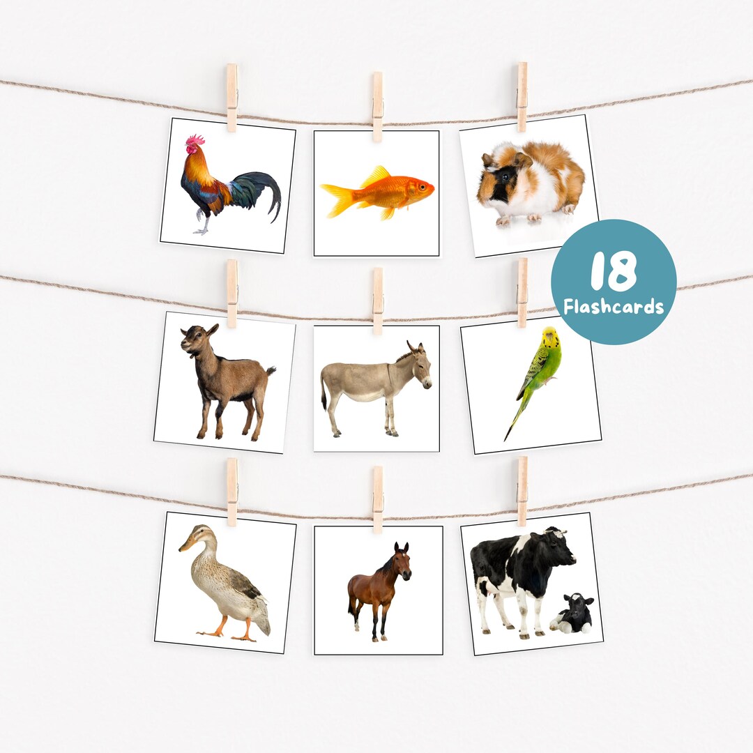18 Printable Farm Animal and Pets Flashcards | Montessori Flashcards ...