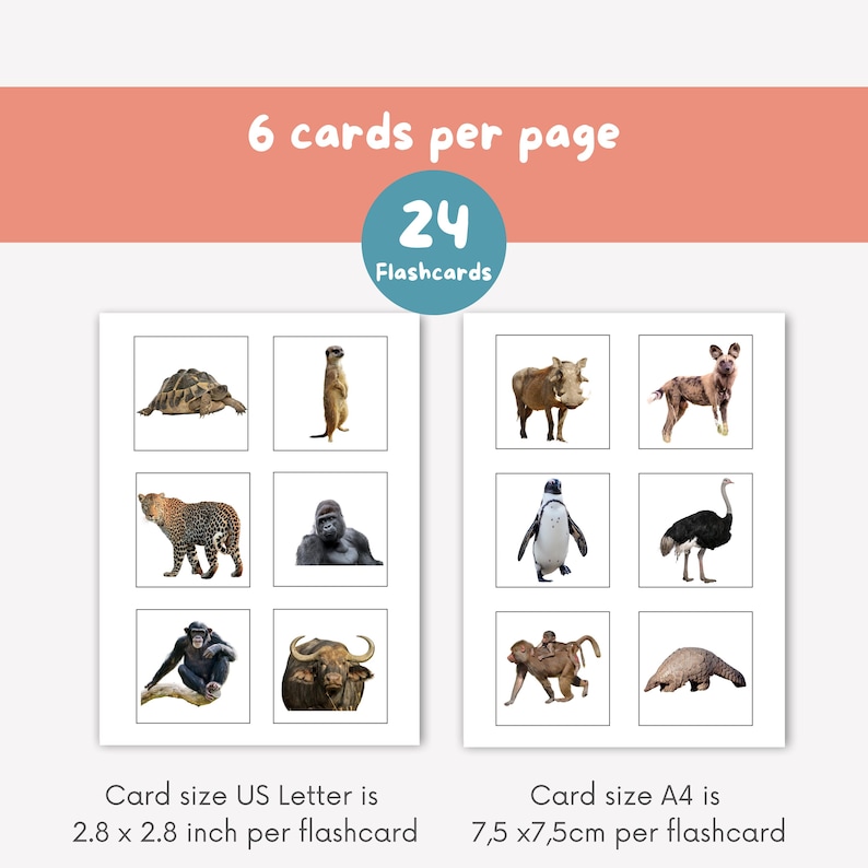 24 Printable Savanna and African Animals Flashcards | Montessori ...