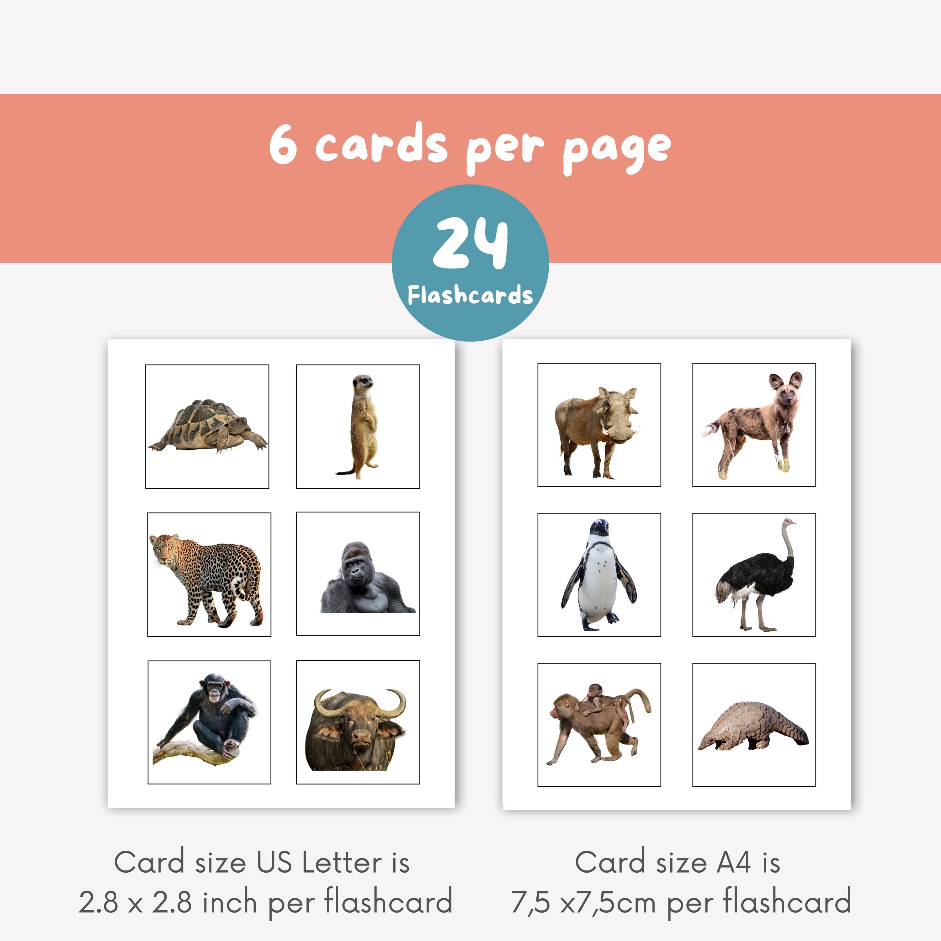24 Printable Savanna and African Animals Flashcards | Montessori ...
