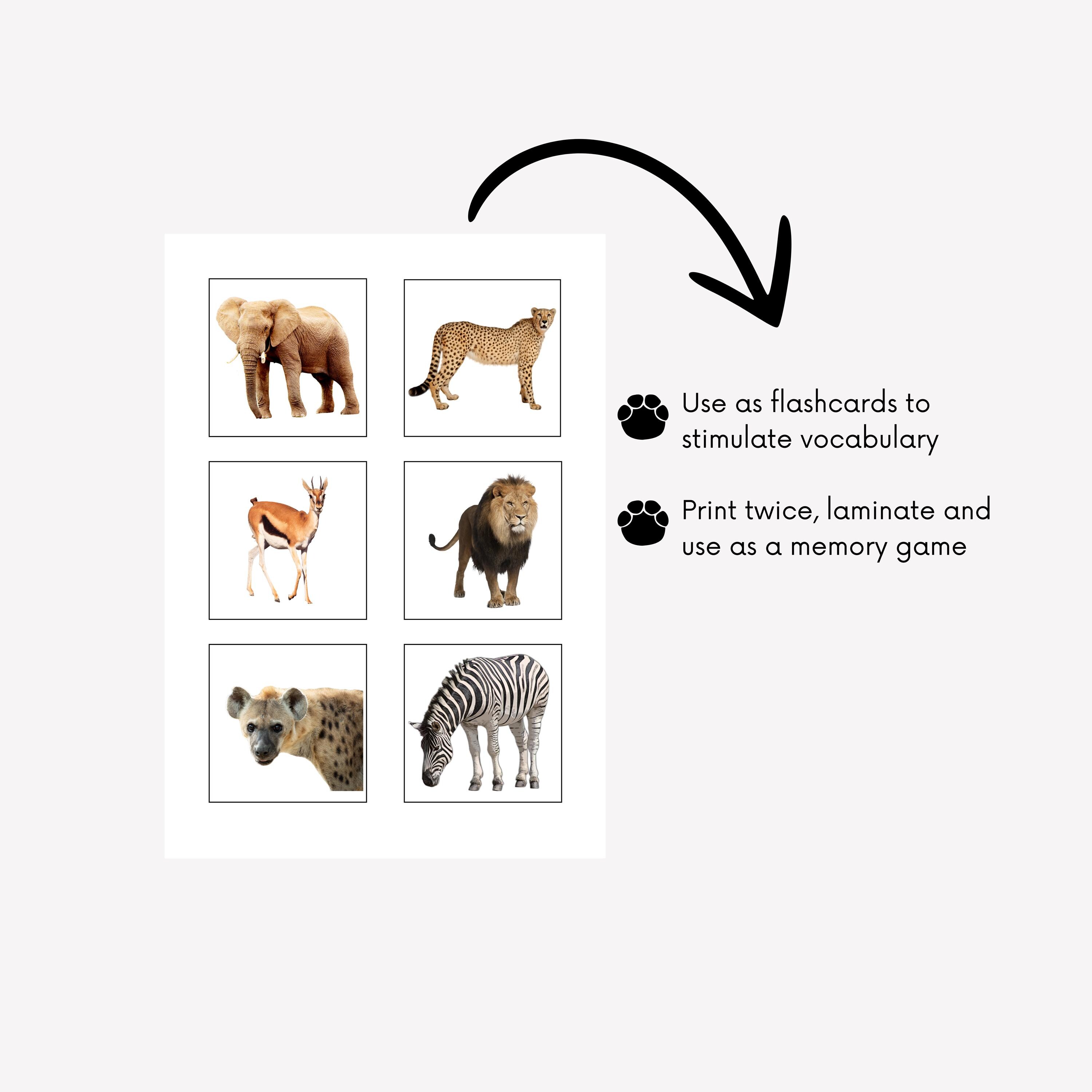 24 Printable Savanna and African Animals Flashcards | Montessori ...
