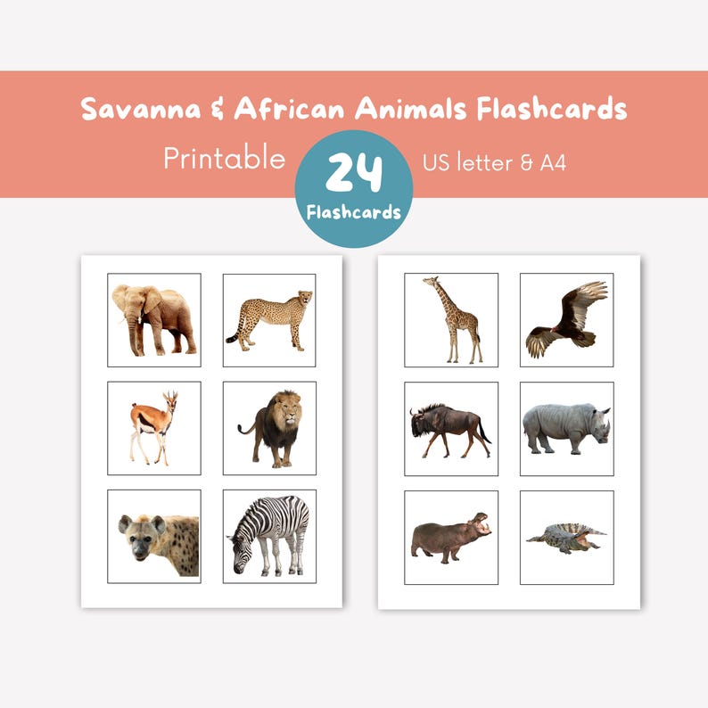 24 Printable Savanna and African Animals Flashcards | Montessori ...