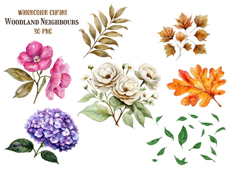 Woodland Animals Watercolor Clipart, Fall Clipart, Clipart Bundle ...