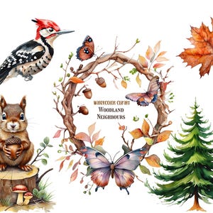 Woodland Animals Watercolor Clipart, Fall Clipart, Clipart Bundle ...