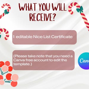Nice List Certificate Digital Download, Nice List Certificate, Nice ...