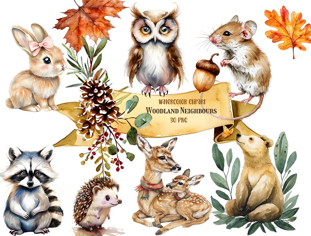 Woodland Animals Watercolor Clipart, Fall Clipart, Clipart Bundle ...