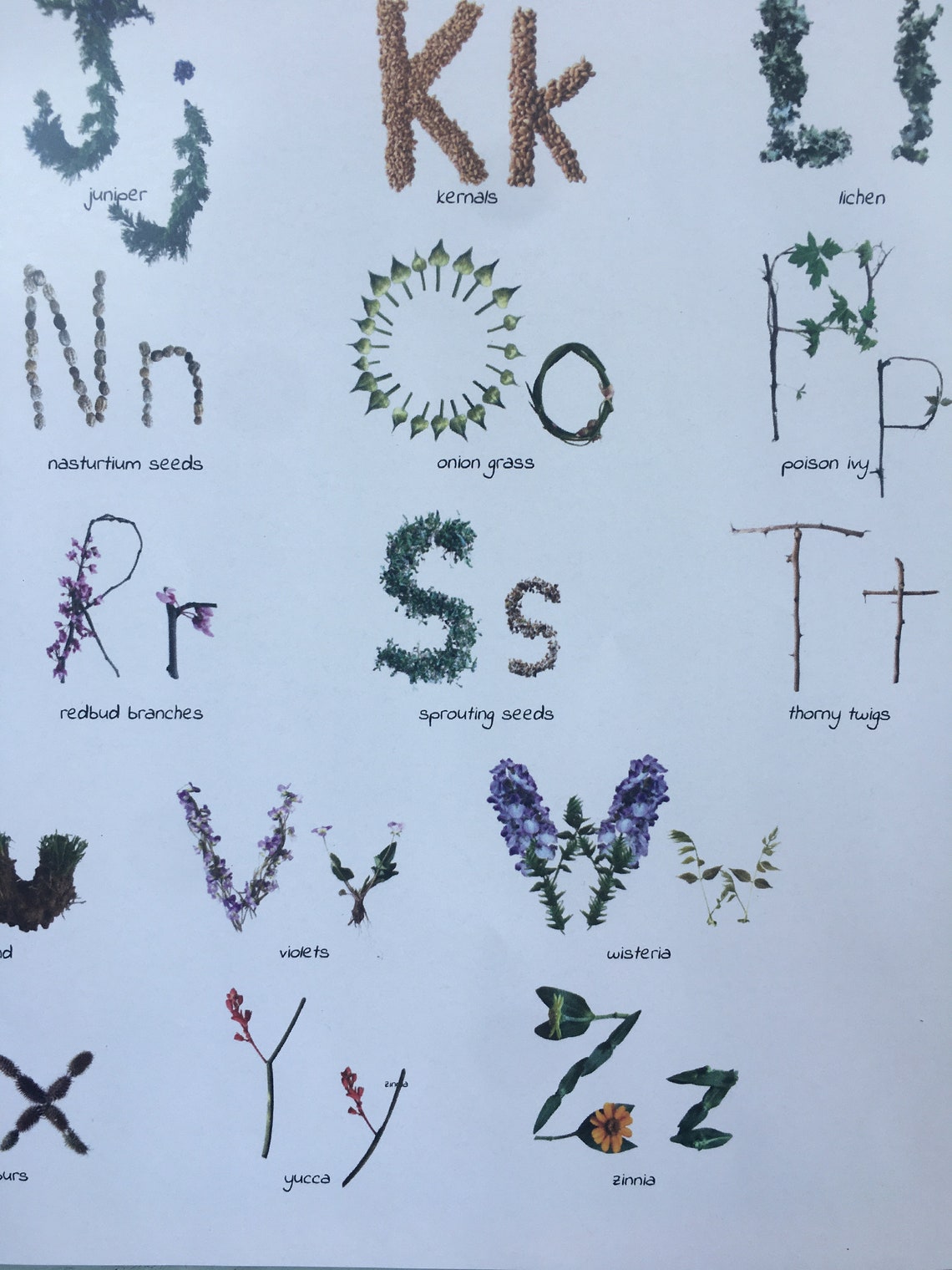 Digital Woodland Alphabet Poster Botanical Alphabet Poster - Etsy