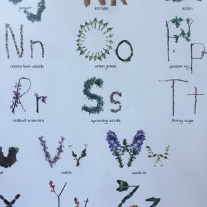 Digital Woodland Alphabet Poster Botanical Alphabet Poster - Etsy