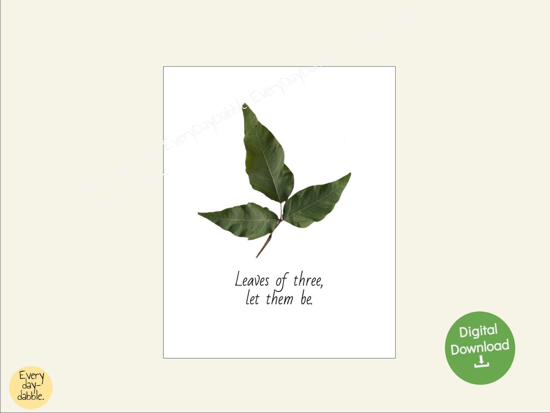 Leaves of Three, Let Them Be. Poison Ivy Identification Digital Print ...
