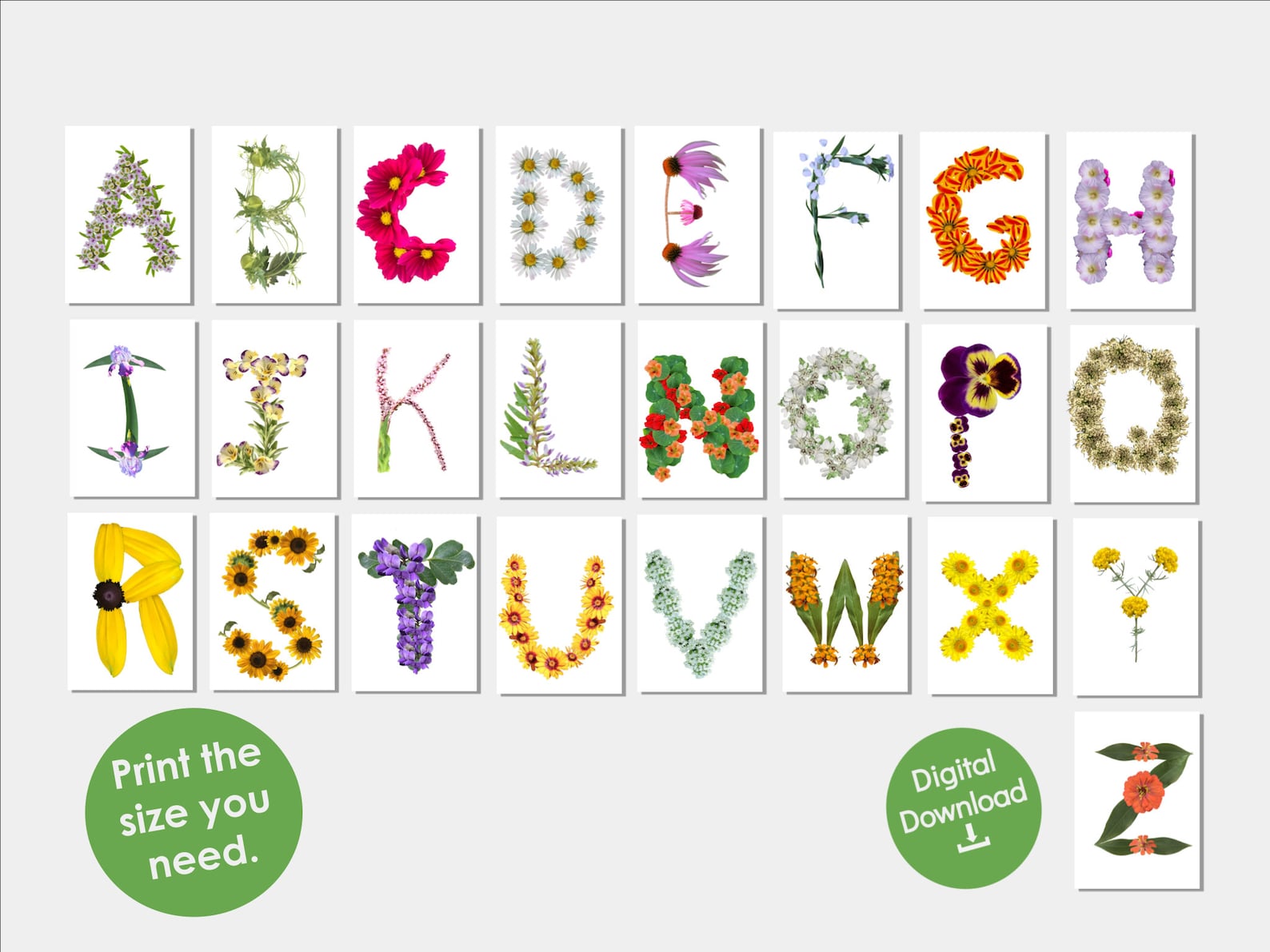 Wildflower Alphabet Printable Hanging Letter Cards Phonetic - Etsy