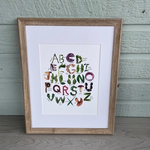 Vegetable Alphabet Poster Unframed Print for Veggie Themed Nursery or ...