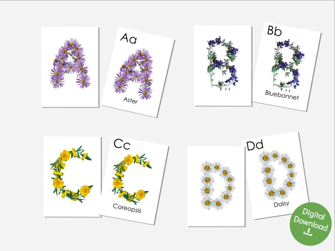 Printable Flower Alphabet for Teaching Flowers Using Matching Alphabet ...