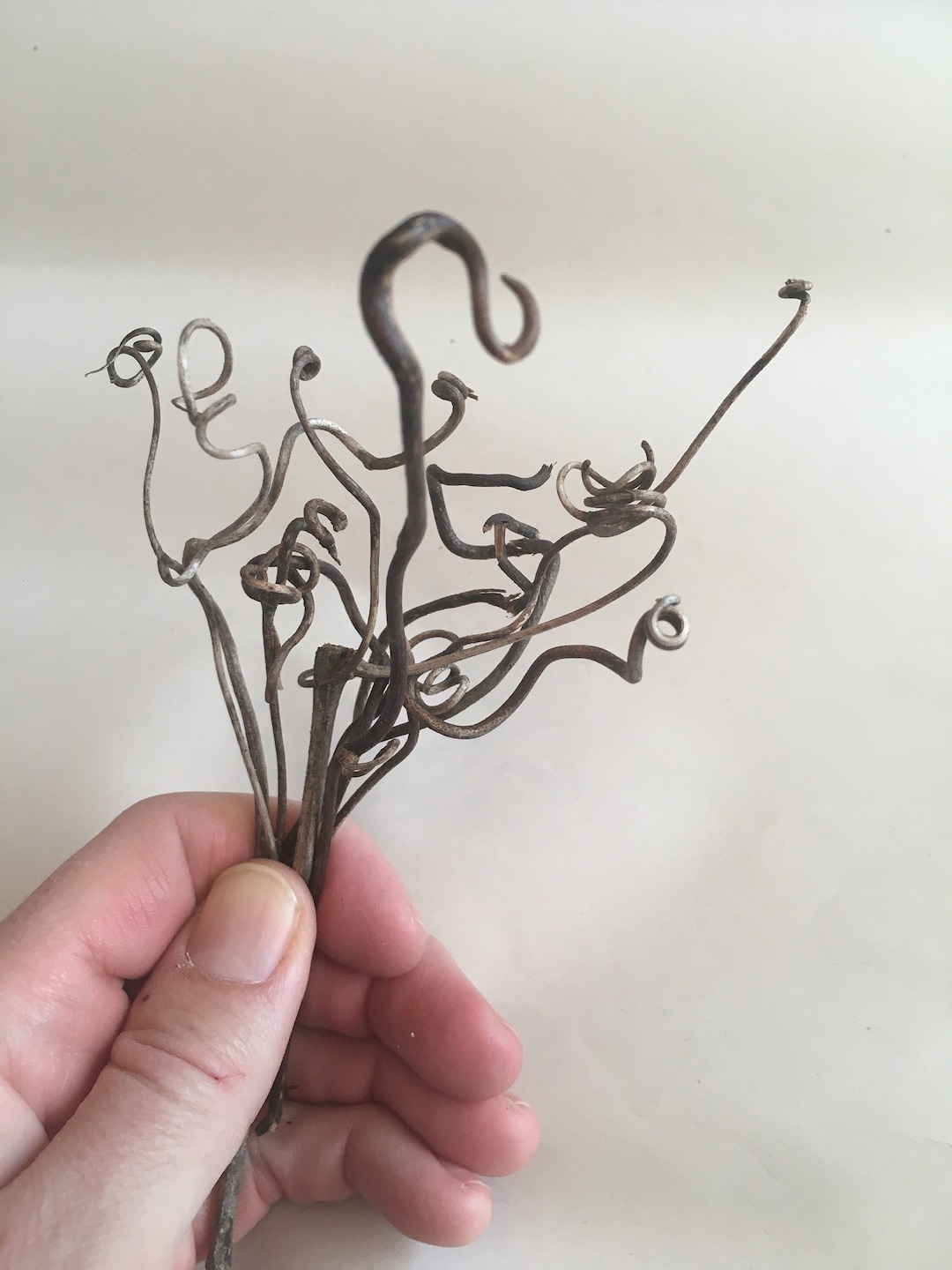 Dried Grapevine Tendrils Lot of 25 Curly Vine Tendrils for - Etsy