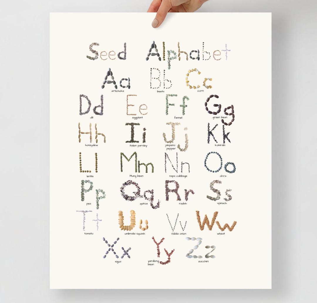 Seed Alphabet Poster Nature Letter Alphabet Nature Chart Nature Letters ...