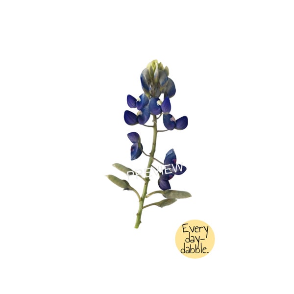 Bluebonnet Svg - Etsy
