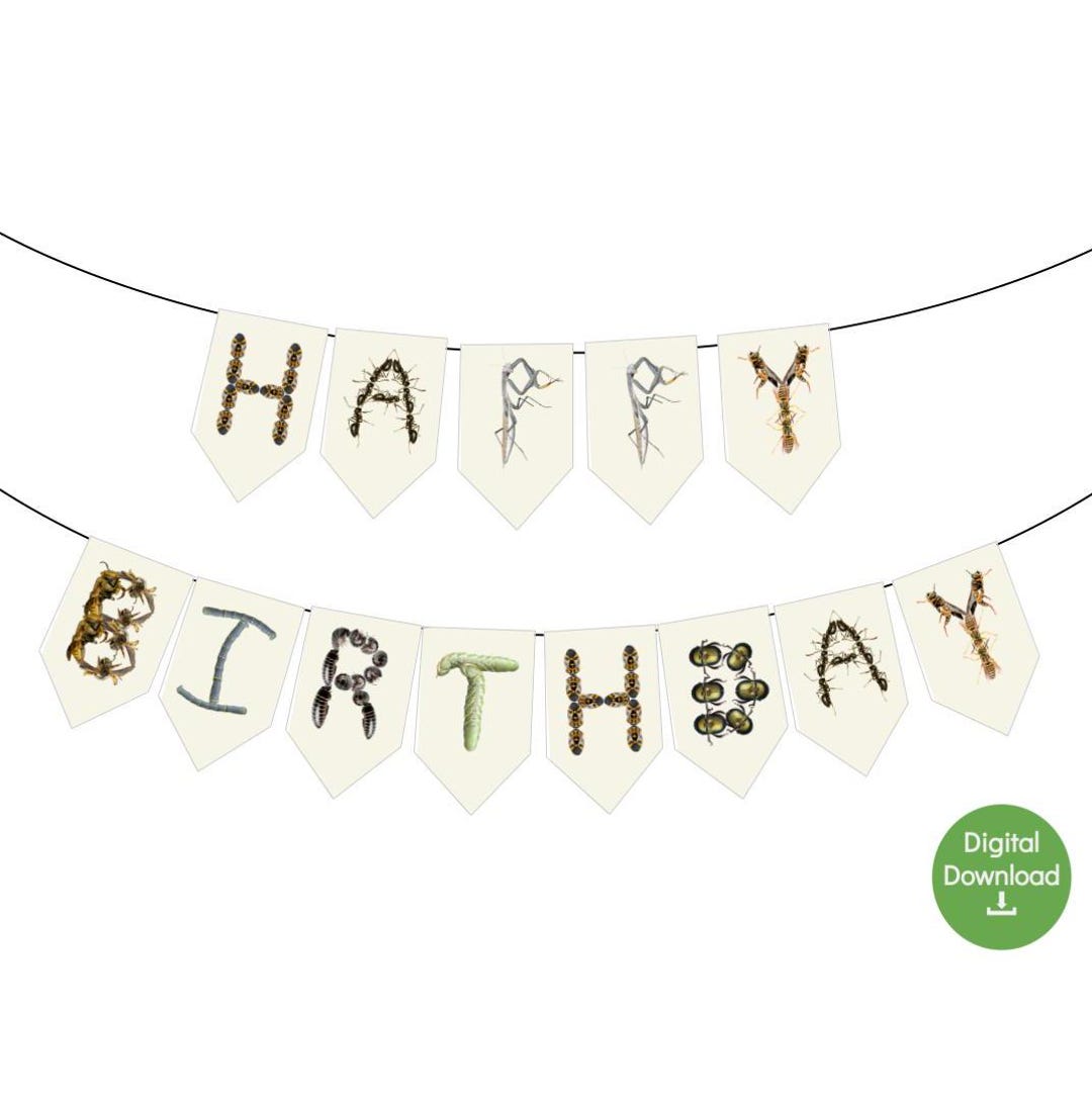 Bug Birthday Banner Printable: Insect Party Decor (digital Download) - Etsy