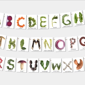 Printable Fruits and Vegetables Alphabet Labeled With Food Names ...
