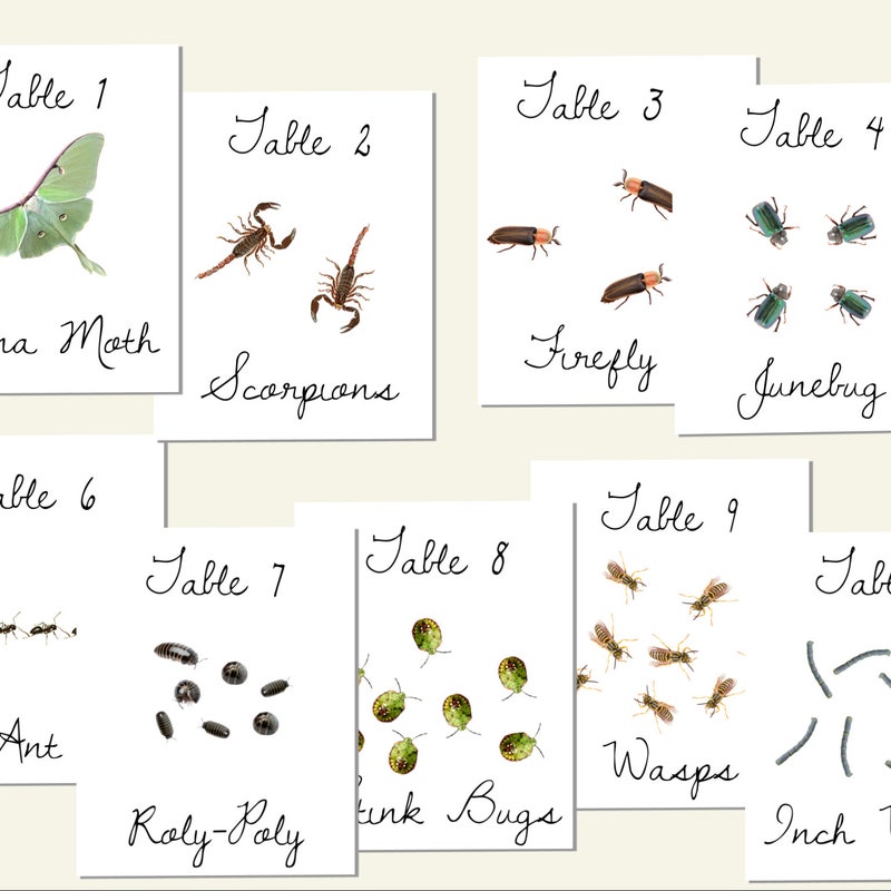 EveryDayDabble - Etsy