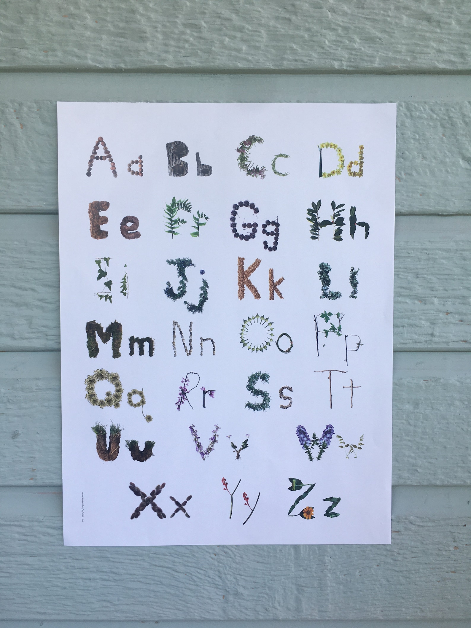 Digital Woodland Alphabet Poster Botanical Alphabet Poster - Etsy