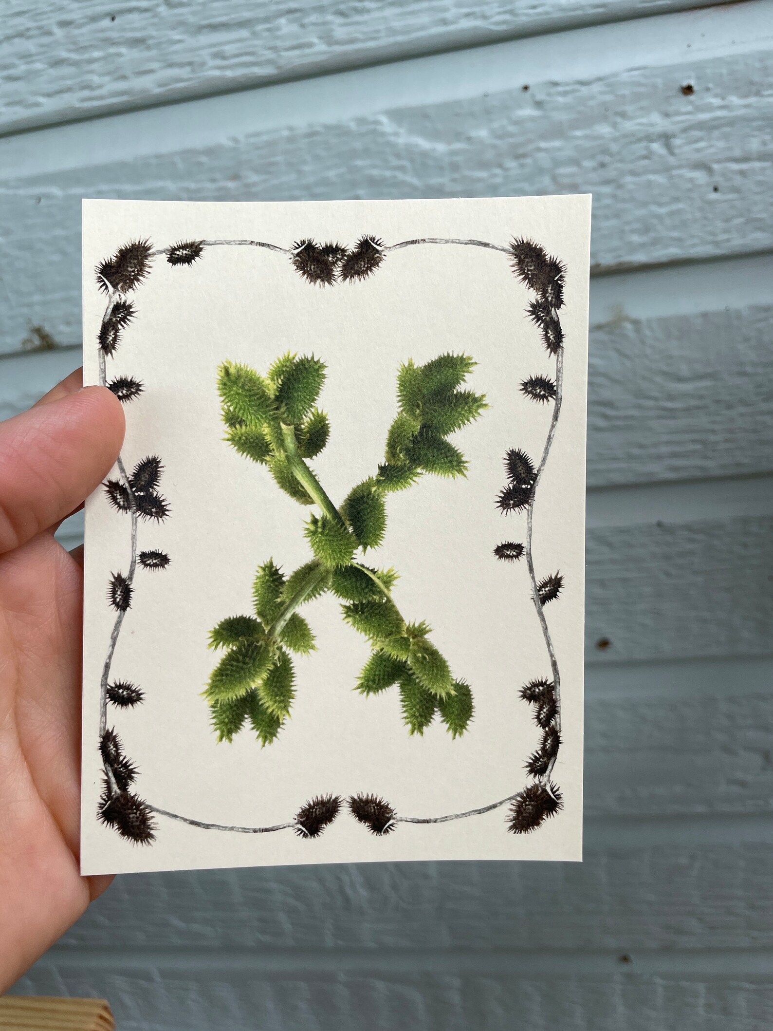 Printable Alphabet for a Woodland Classroom or Nursery Make a - Etsy