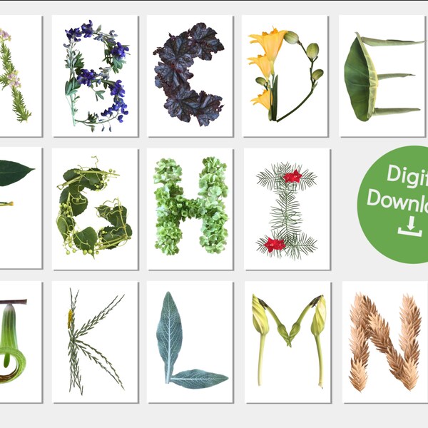 Nature Letters - Etsy