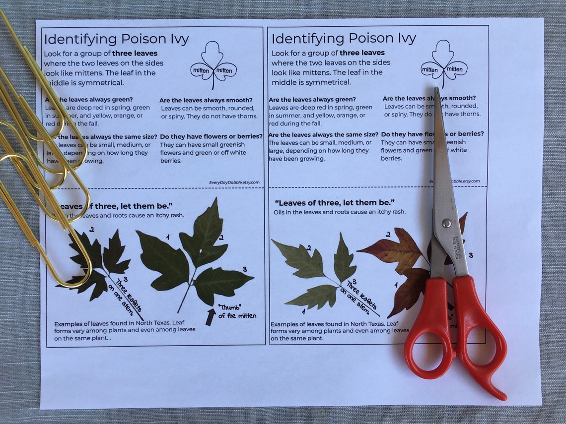 Digital Poison Ivy Identification Card Print to Make 2 - Etsy