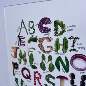 Vegetable Alphabet Poster Unframed Print for Veggie Themed Nursery or ...