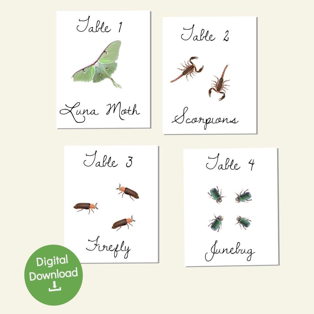 Bug Table Numbers - Printable Insect Birthday Party or Baby Shower ...
