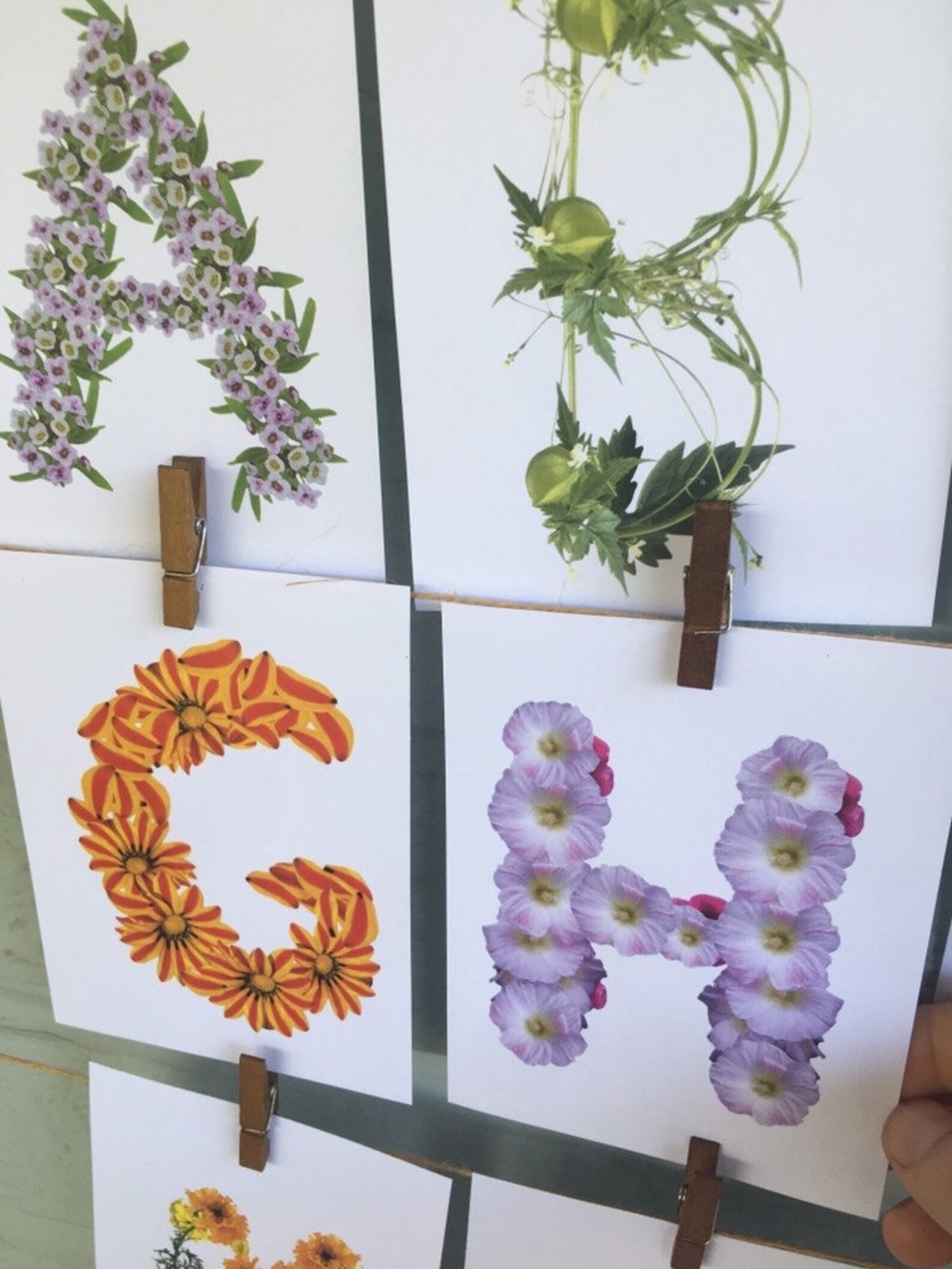 Wildflower Alphabet Printable Hanging Letter Cards Phonetic - Etsy