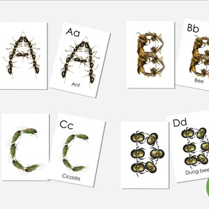 Printable Bugs Alphabet for Teaching Insects Using Matching Alphabet ...