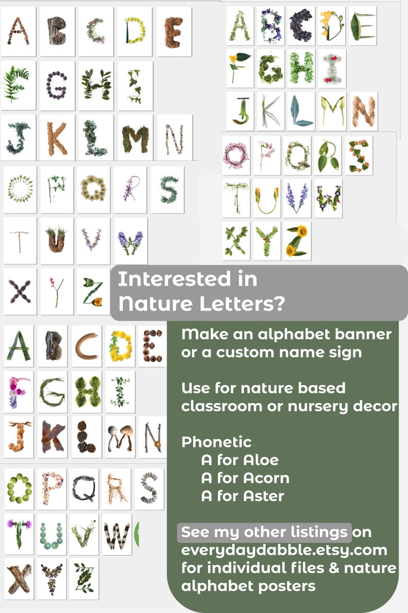 Wildflower Alphabet Printable Hanging Letter Cards Phonetic - Etsy