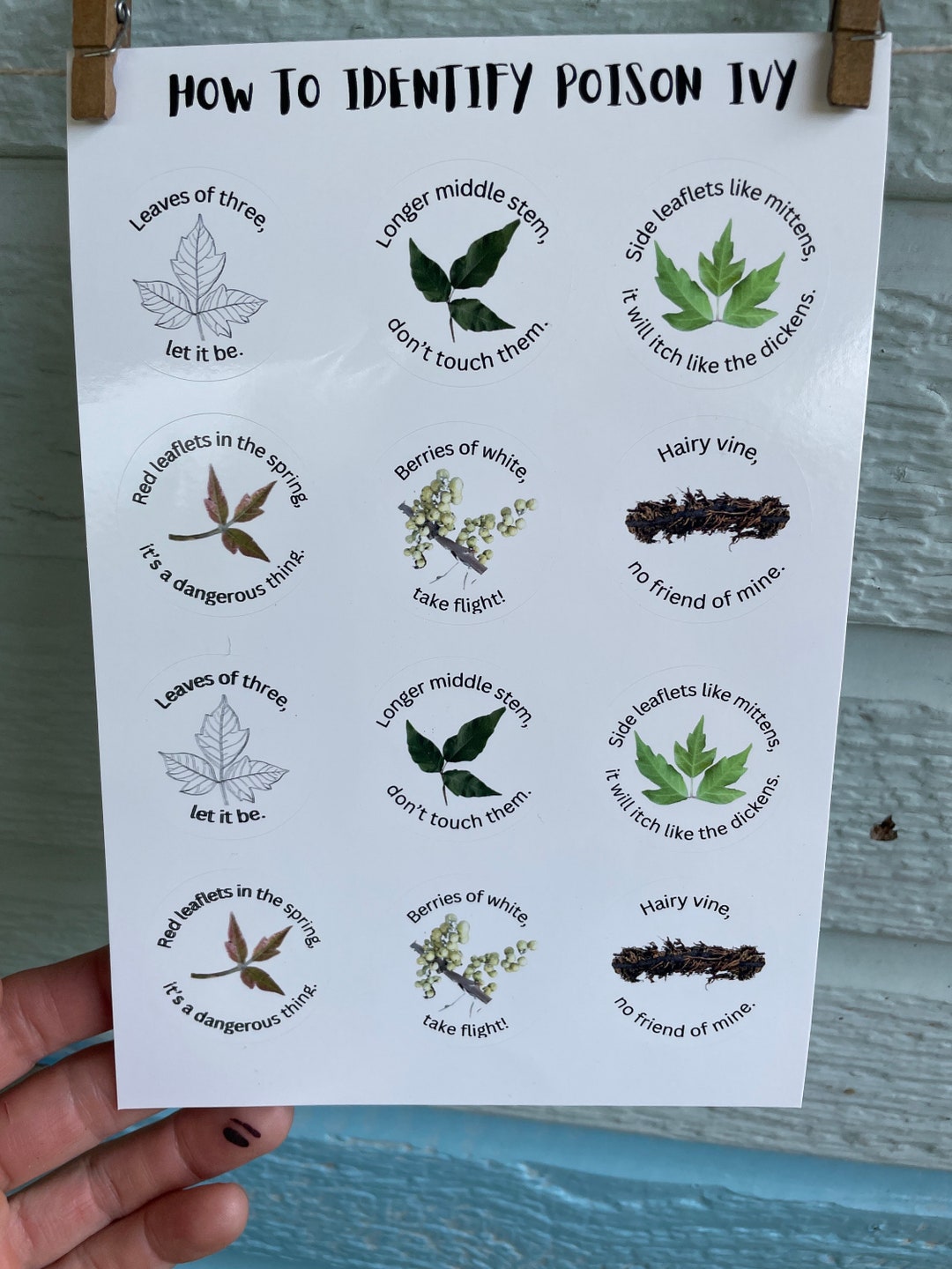 How to Identify Poison Ivy Sticker Sheet - "leaves of Three, Let It Be ...