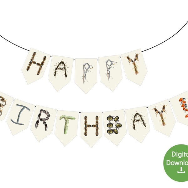 Bug Birthday Party - Etsy