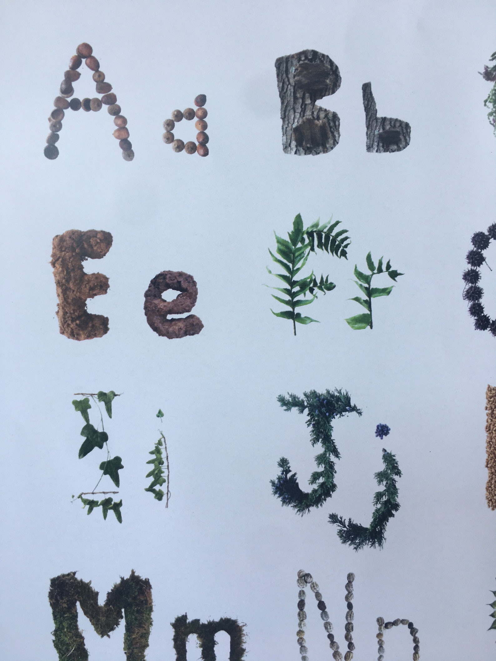 Digital Woodland Alphabet Poster Botanical Alphabet Poster - Etsy
