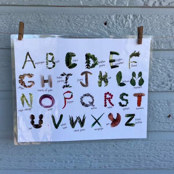 Fruit and Vegetable - Etsy