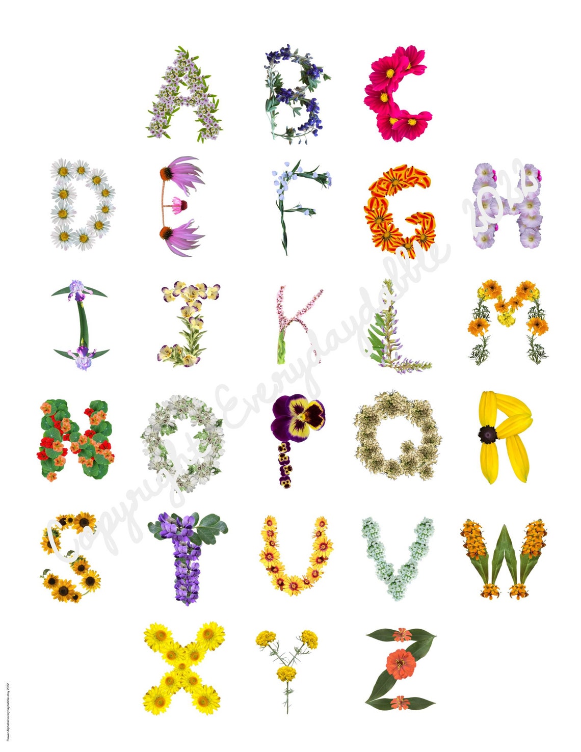 Wildflower Alphabet Printable Hanging Letter Cards Phonetic - Etsy