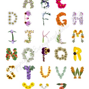 Wildflower Alphabet Printable Hanging Letter Cards Phonetic - Etsy