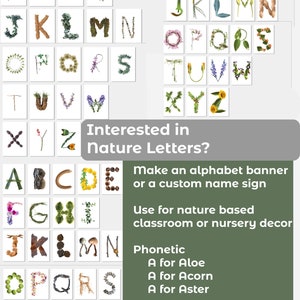 Printable Alphabet for a Woodland Classroom or Nursery Make a - Etsy