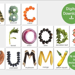 Printable Fruits and Vegetables Alphabet Phonetic Embedded - Etsy