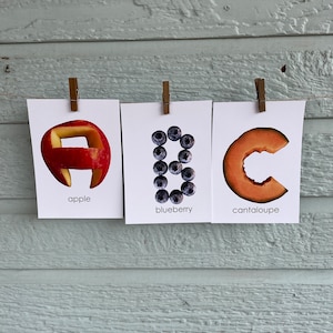 Printable Fruits and Vegetables Alphabet Labeled With Food Names ...