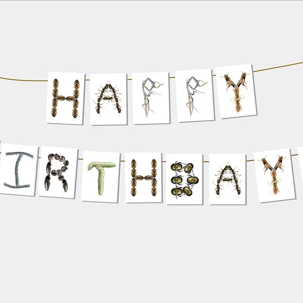 Birthday Bug - Etsy