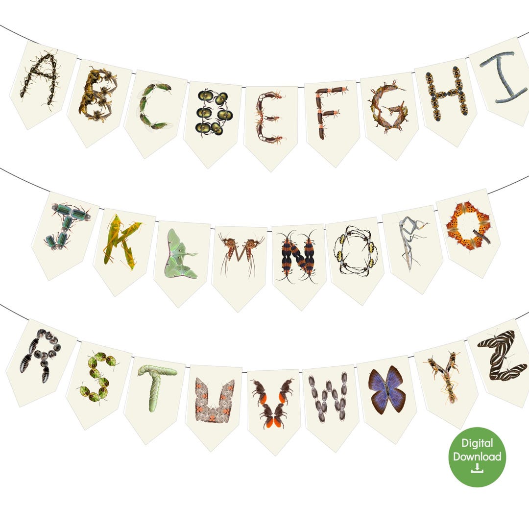 Insect Alphabet Print: Bug ABC Cards for Classroom & Nursery (PDF ...