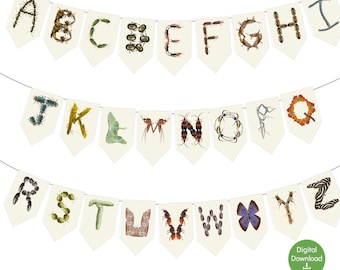 Insect Alphabet Chart Art Print - Etsy Canada