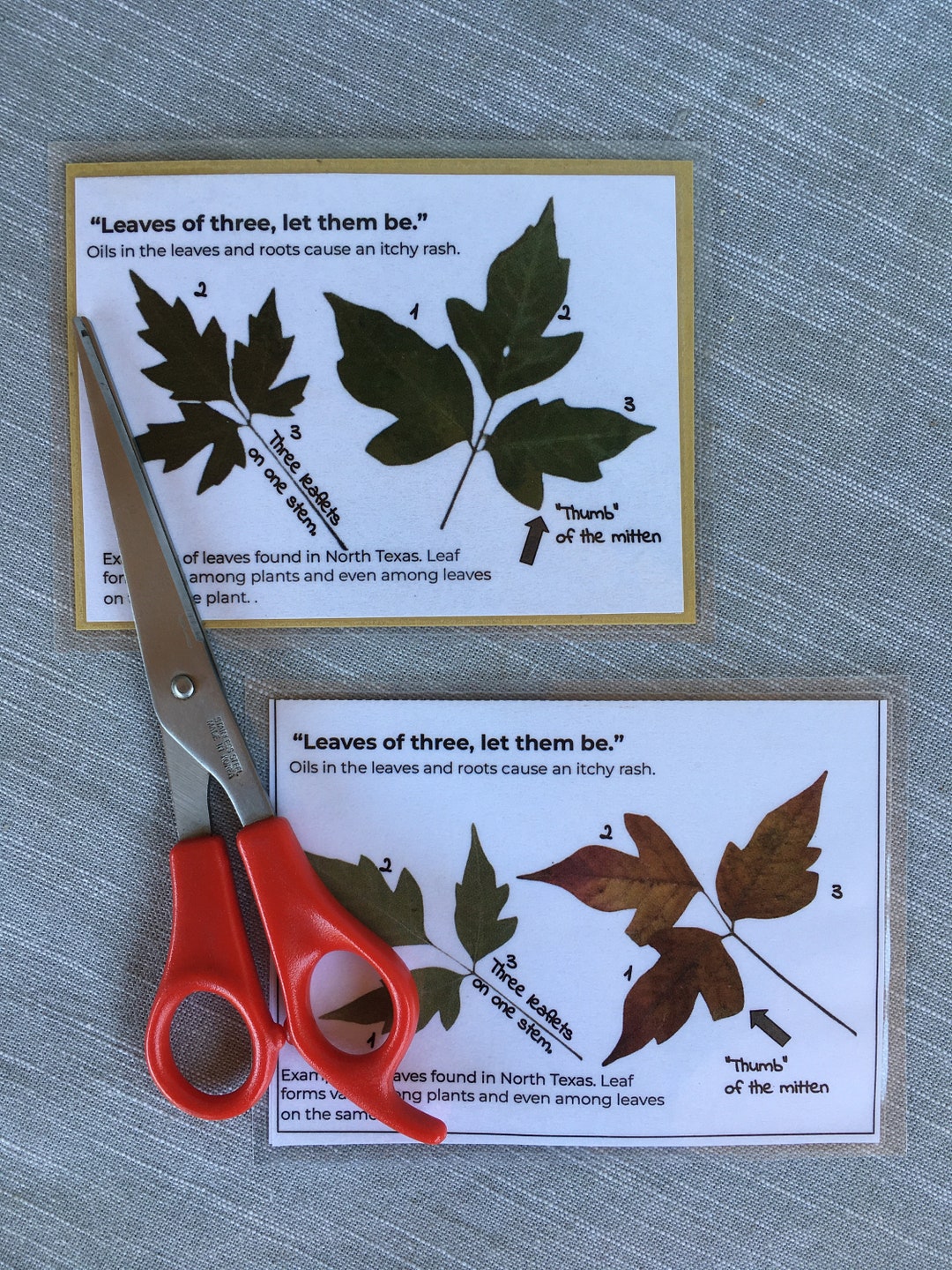 Digital Poison Ivy Identification Card Print to Make 2 - Etsy