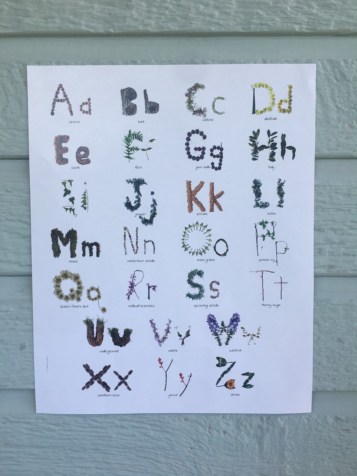 Digital Woodland Alphabet Poster Botanical Alphabet Poster - Etsy