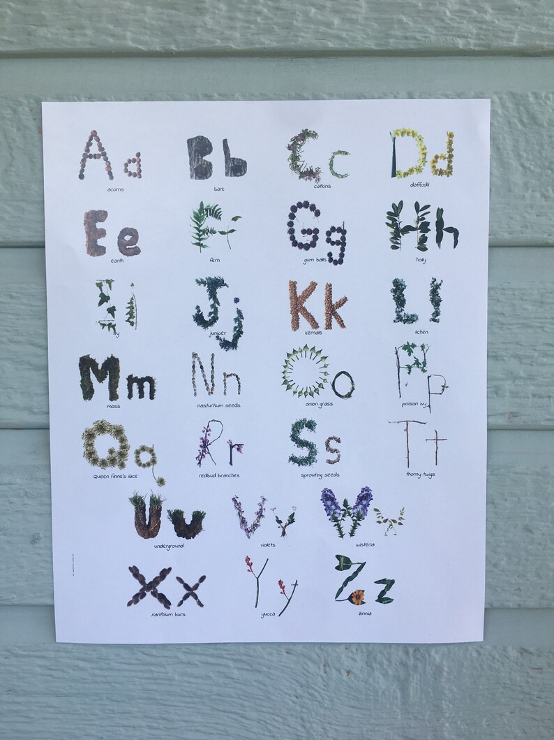 Digital Woodland Alphabet Poster Botanical Alphabet Poster - Etsy