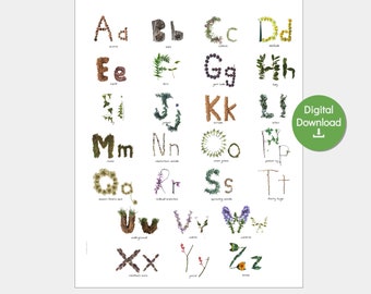 Woodland Alphabet Poster Phonetic Alphabet Poster Nature - Etsy