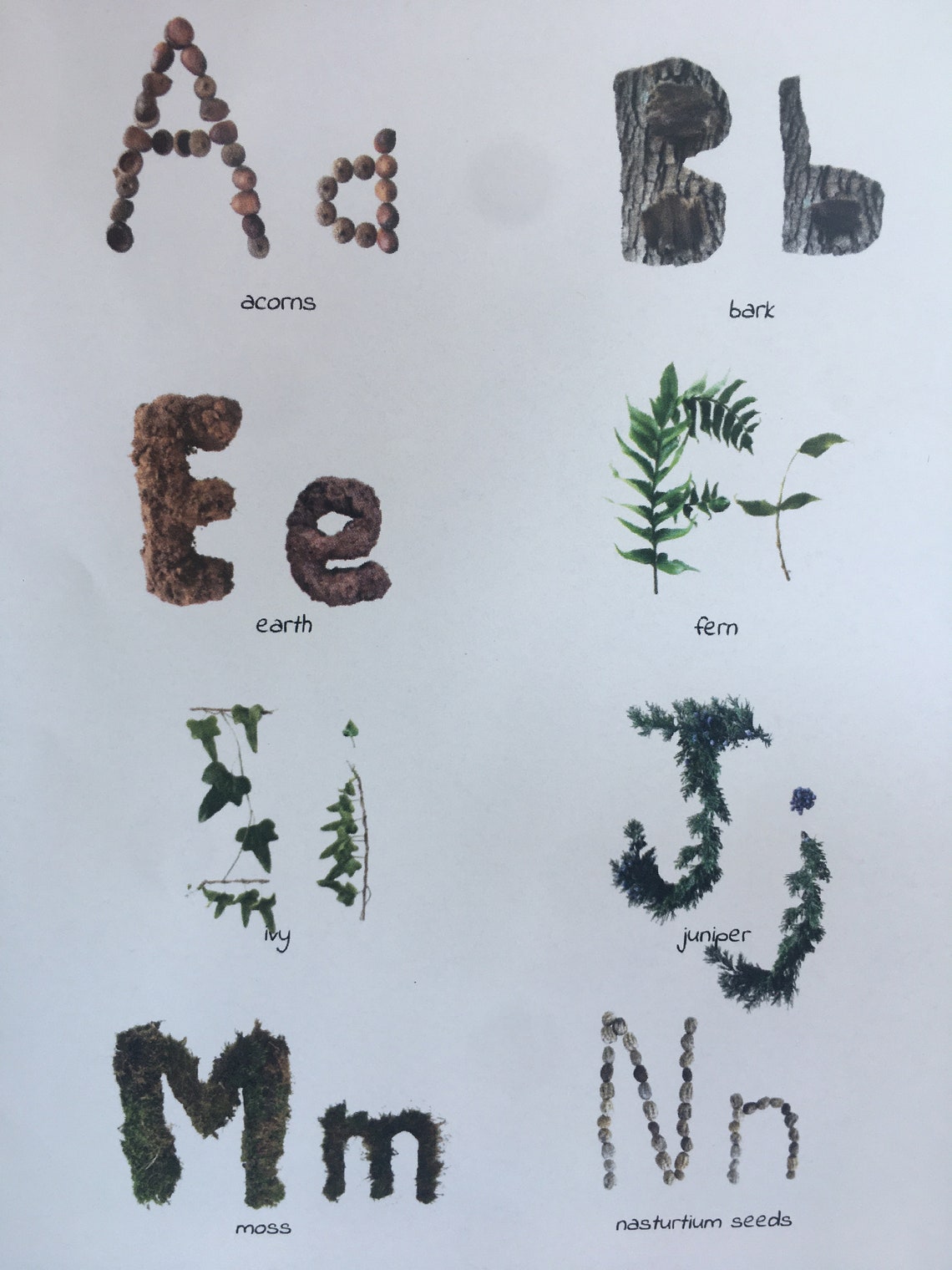 Digital Woodland Alphabet Poster Botanical Alphabet Poster - Etsy