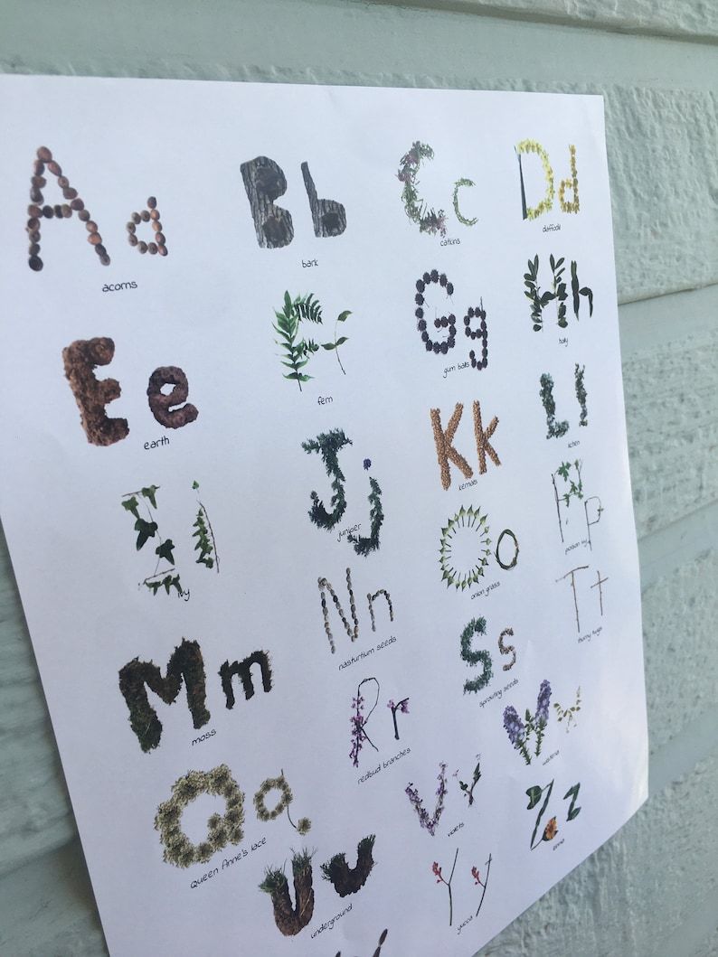 Digital Woodland Alphabet Poster Botanical Alphabet Poster - Etsy